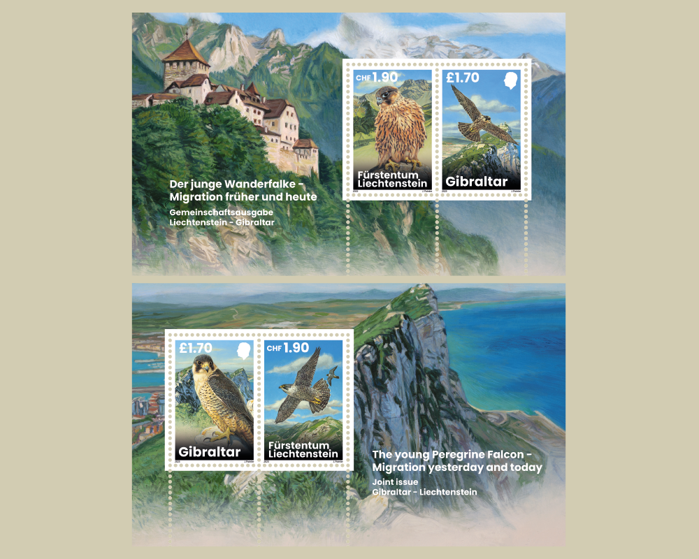 Young Peregrine Falcons - Landscape, Mountains, and Nature - Philatelie ...